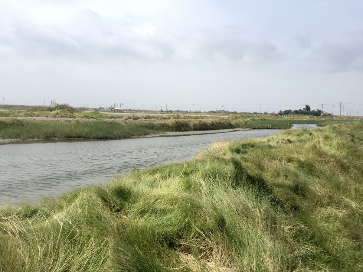 Wetland Wise-Use and Water Management - Water Sustainability Lab.